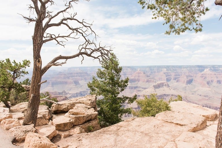 Phoenix, Arizona | Summer 2016 - Kristy and Vic Photography